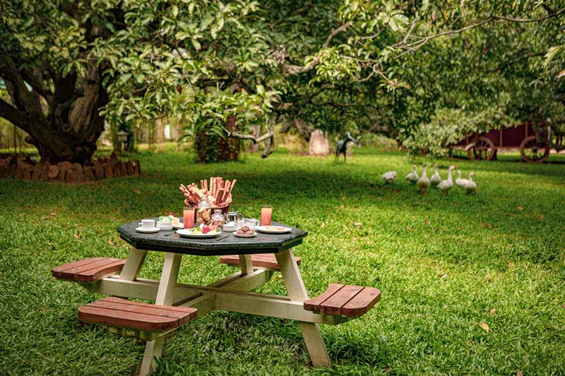 Best Resort in Bangalore / Luxury Premium Resort Bangalore / Adventure ...