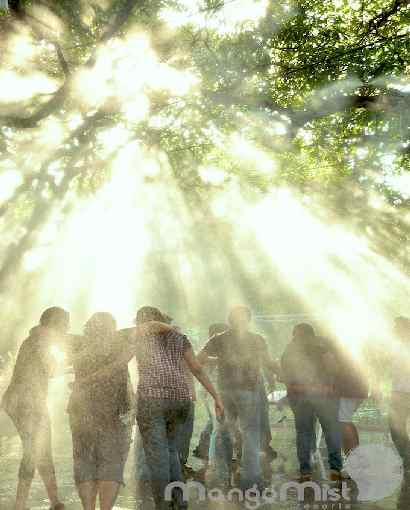 MangoMist Resort Bangalore